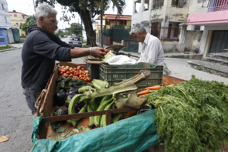 Ordenando el ordenamiento en la agricultura cubana – Rebelion