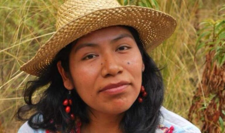 A un año de la desaparición de la defensora del bosque Irma Galindo ...