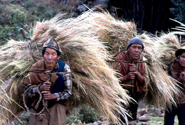 «El Perú es un invento del colonialismo español: proclamemos la ...