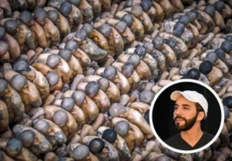 El «método Bukele» y el futuro de la ultraderecha – Rebelion