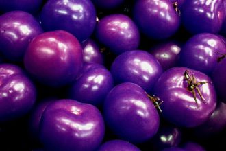Alimentos IA – Rebelion